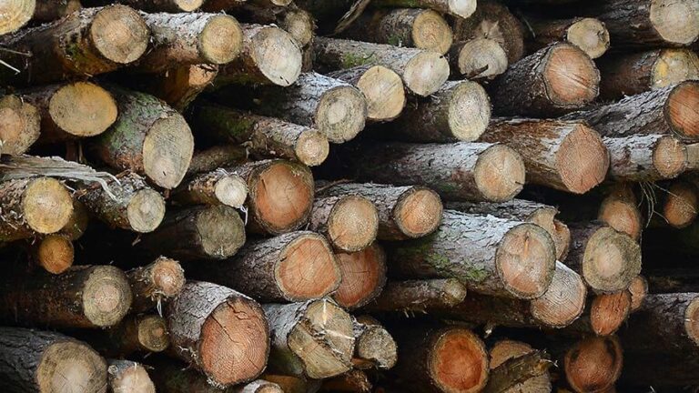 Pump Technology In Wood Preservation | CDR Pumps (UK) Ltd